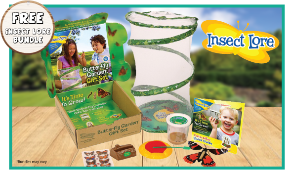 INSECT-LORE - SnapperTime - Inspiration for little adventurers